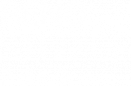 Movie：Salli | 電影：莎莉 - RENO STUDIOS 再現影像